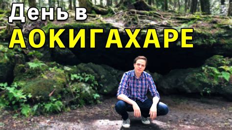 Провел день в жутком лесу самоубийц Аокигахара Япония Youtube