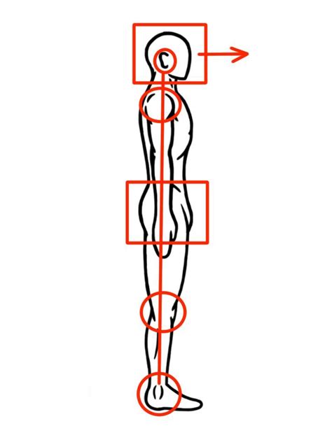 Alignment Form Equals Function Artofit Alignment Form Equals Function Artofit