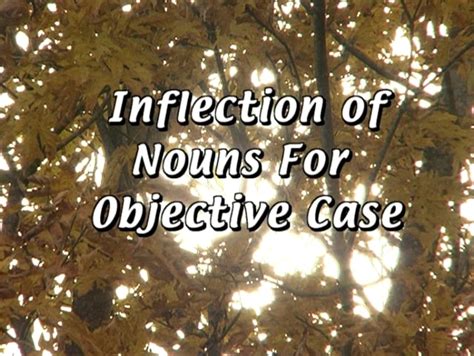 Inflection Of Nouns For The Objective Or Accusative Case Cozy Grammar