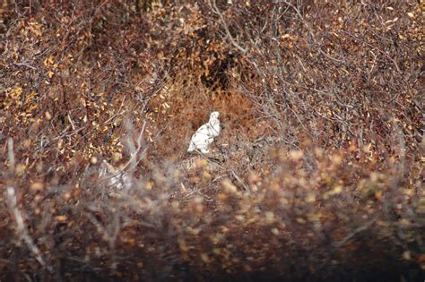 Tundra Hsie Teachers