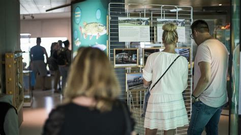 Fish Pass Visitor Areas Cycling In Alsace