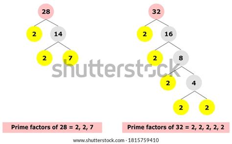 Factor Tree