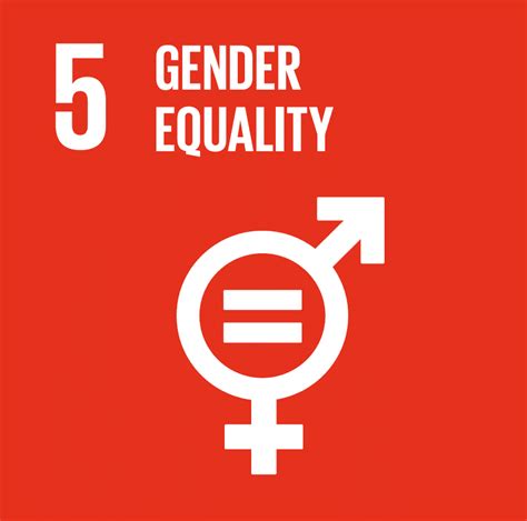 5 Gender Equality Vision 2045