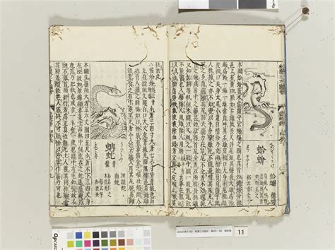 E0023609 和漢三才図会 東京国立博物館 画像検索