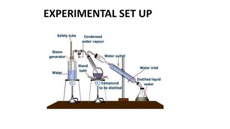 Extraction Of Essential Oils Investigatory Projectpptx