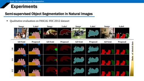 Mumford Shah Loss Functional For Image Segmentation With Deep Learning Pdf