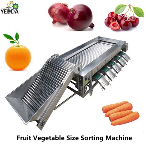 Fruit Vegetable Size Sorting Machine Capacity 1000 3000 Kghr At Best