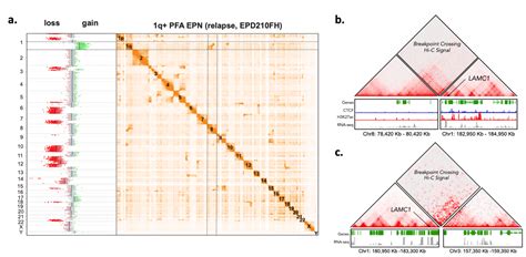Structural Genomics Arima Genomics