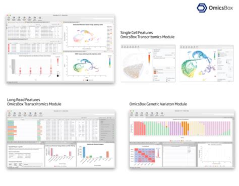 BioBam Releases OmicsBox 3 2 Single Cell Transcriptomics Made Easy BioSpace