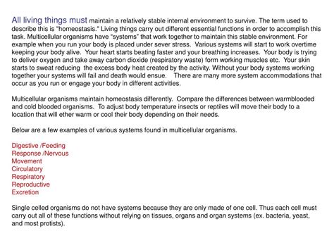 Ppt Grasshopper Dissection Powerpoint Presentation Free Download Id 1901450