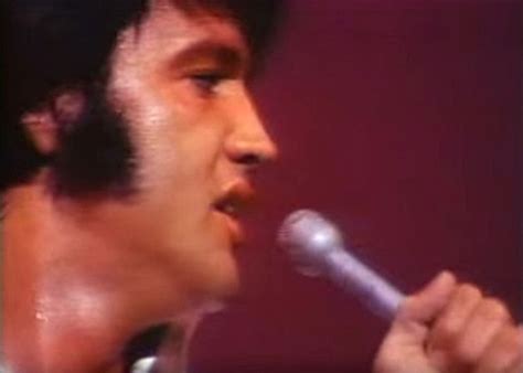 Non Stop Erotic Cabaret Spotlight Review Elvis Information Network