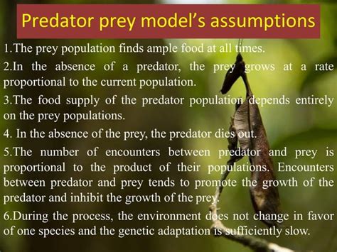 Predator Prey Models Lotka Voltera Model Nicholson Bailey Model Crop Modelling Pdf