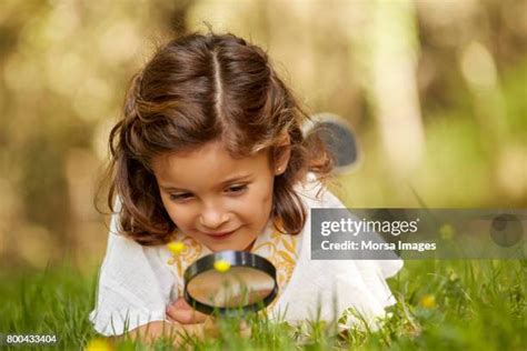 Looking Through Grass Photos And Premium High Res Pictures Getty Images