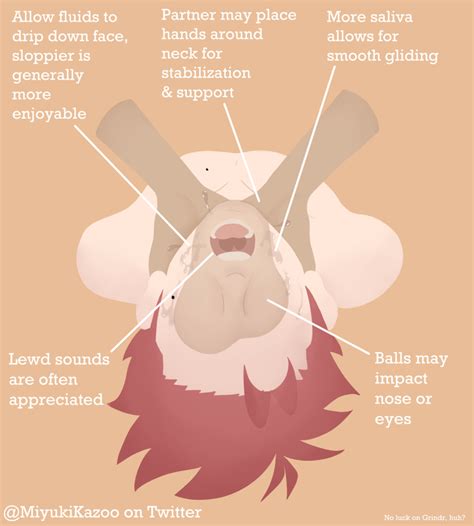 Rule 34 Deepthroat Gay Infographic Information Miyuki Kazoo Oral Sex