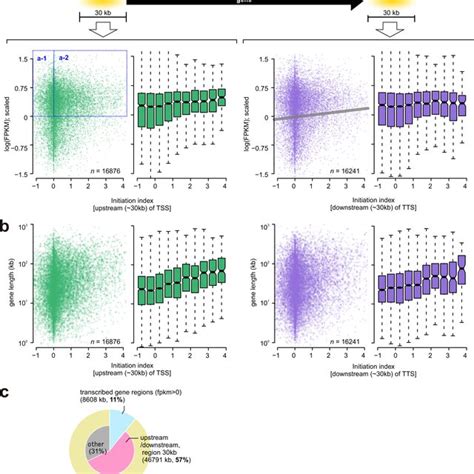 G Quadruplex Structure A Structure Of A G Quartet In The Presence Of