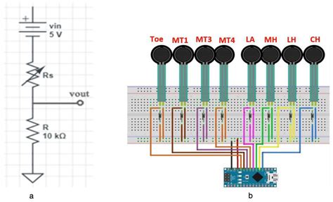 Gait Cycle Monitoring System Based On Flexiforce Sensors Gait Cycle Monitoring System Based On Flexiforce Sensors