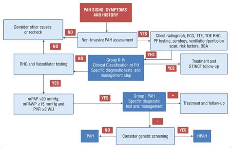 Diagnostic Algorithm And Different Tests Recommended For Pulmonary Download Scientific Diagram