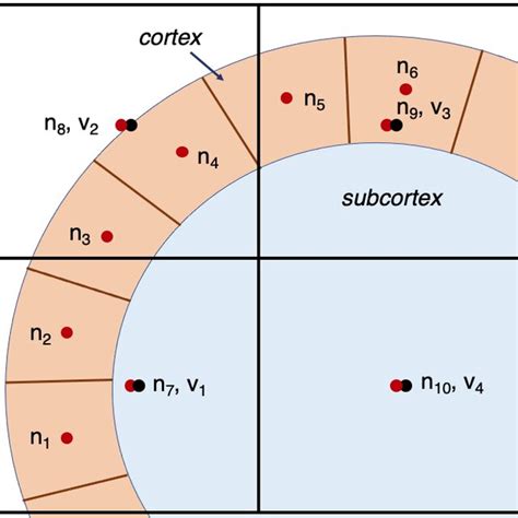 Schematic Representation Of Voxels And Nodes In Hybrid Space The