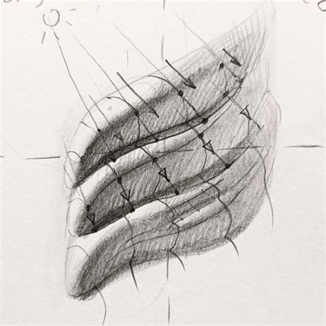 Падающие тени Рисунок карандашом в 2024 г Анатомия человека искусство Анатомическое