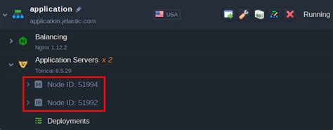 Dns Host Names For Direct Connection To Containers At Jelastic Paas Docktera