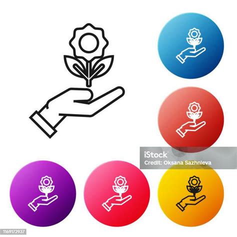 흰색 배경에 고립 된 꽃 아이콘을 들고 있는 검은 선 손 종자 및 묘목 묘목 심기 생태 개념 아이콘 다채로운 원 버튼을