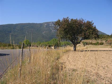 IMG 1815 Cédric H Flickr