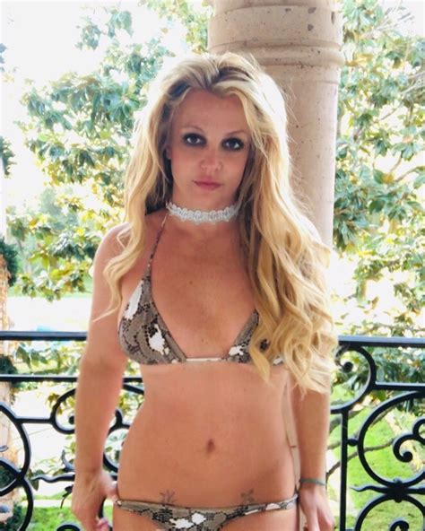 Britney Spears Shows Off Figure In Snakeskin Pattern Bikini
