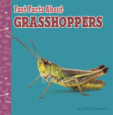 Fast Facts About Grasshoppers By Julia Garstecki Goodreads
