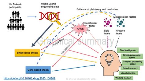 Understanding Genetic Architecture Of Cognition Biopatrika