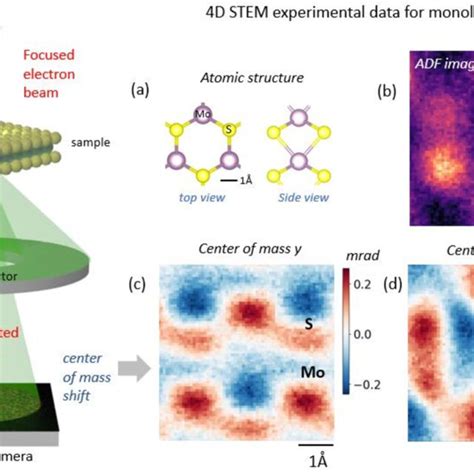 4d Stem Experiments On Monolayer Mos2 Left Schematic Showing The Download Scientific Diagram