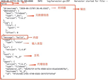 filebeat入门及使用 1 控制台输入，控制台输出 filebeat output console csdn博客