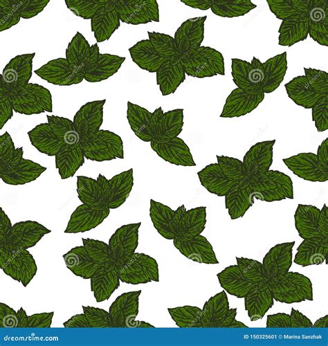 Hand Drawn Seamless Pattern Of Green Mint Leaves Stock Vector