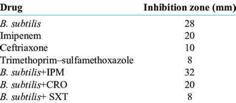 Sensitivity Of Antibiotics Bacillus Subtilis And Combinations Against