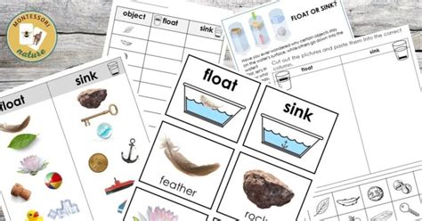 Float And Sink Sorting Activity Montessori Nature