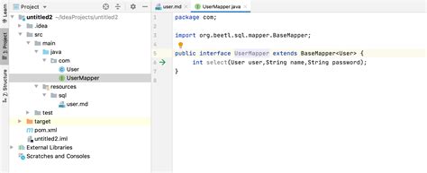 Idea 插件使用 Beetlsql 文档