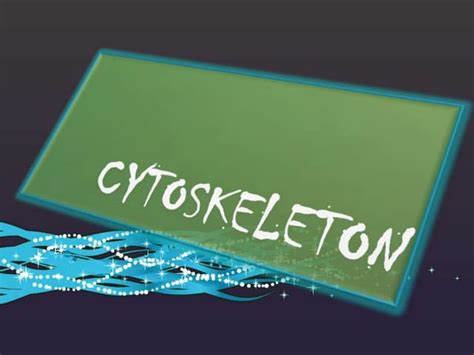 Cytoskeleton Pptx