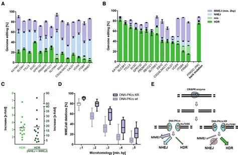 Catalytically Inactive Dna Pkcs Promotes Homology Directed Repair