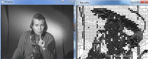 Lbp特征原理及c实现lbp归一化 Csdn博客