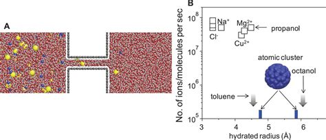 Precise And Ultrafast Molecular Sieving Through Graphene Oxide
