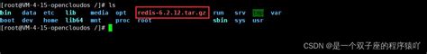 Linux安装redis（超详细，附图） Csdn博客