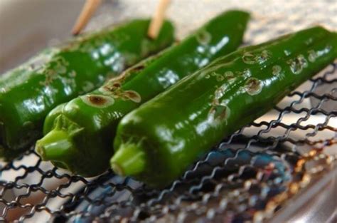 【万願寺とうがらし】人気レシピ26選～簡単焼きびたし、ジャコ和えからパスタやカレーなどの主食にも♪｜コラム｜elthaエルザ