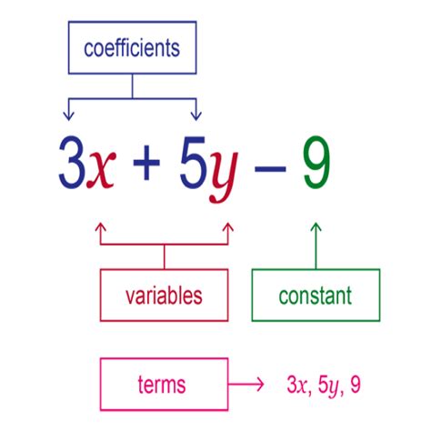 Grade 10 Maths Algebraic Expressions In Animated Powerpoint