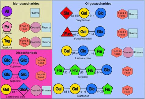 A Selection Of Novel And Upcoming Functional Carbohydrates And Their Download Scientific