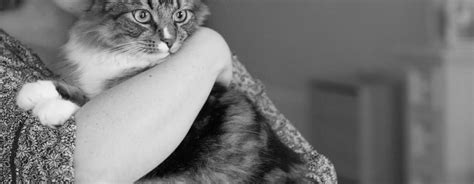 Feliway® Calming Pheromone Diffusers For Cats And Felines