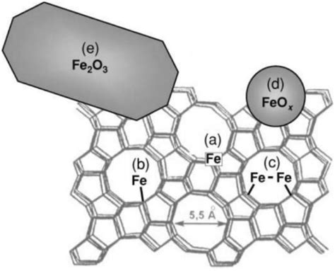 schematic diagram of different fe species in fe zsm 5 [69] download