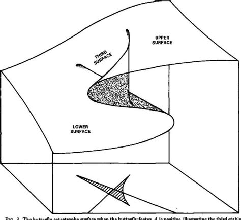 Butterfly Surface 3d Plot Catastrophe Theory Rmaths