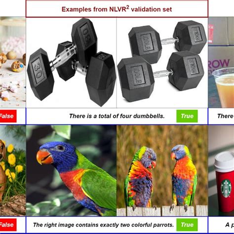Figure G4 Examples Of Referring Expression Comprehension From Refcoco Download Scientific
