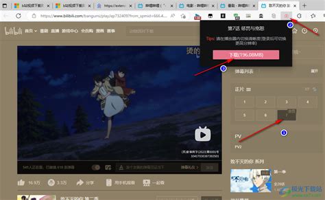 Edge浏览器如何下载b站视频？ Edge浏览器下载b站视频的方法 极光下载站