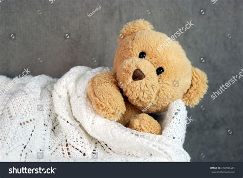 Top 999 Teddy Bear Good Night Images Amazing Collection Teddy Bear