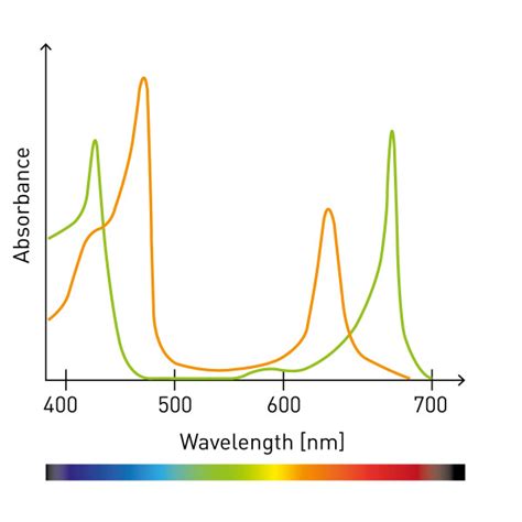 Uv Vis Total Flavonoids Content Aluminium Chloride Colorimetric 1 Sample